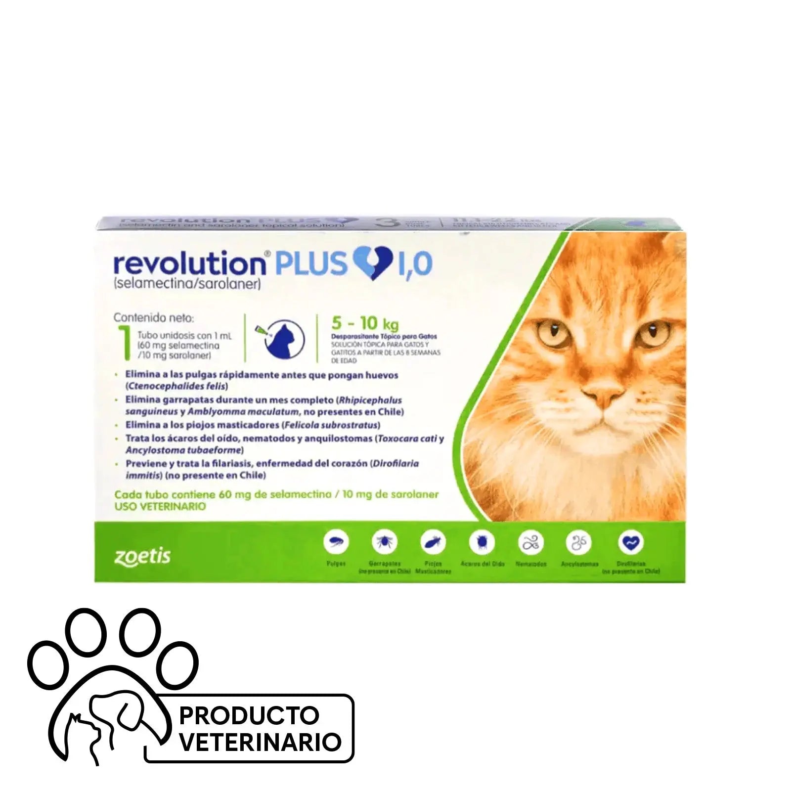 Revolution Plus Gatos 5 a 10 kg | Farmacias Curie - Envíos a todo Chile